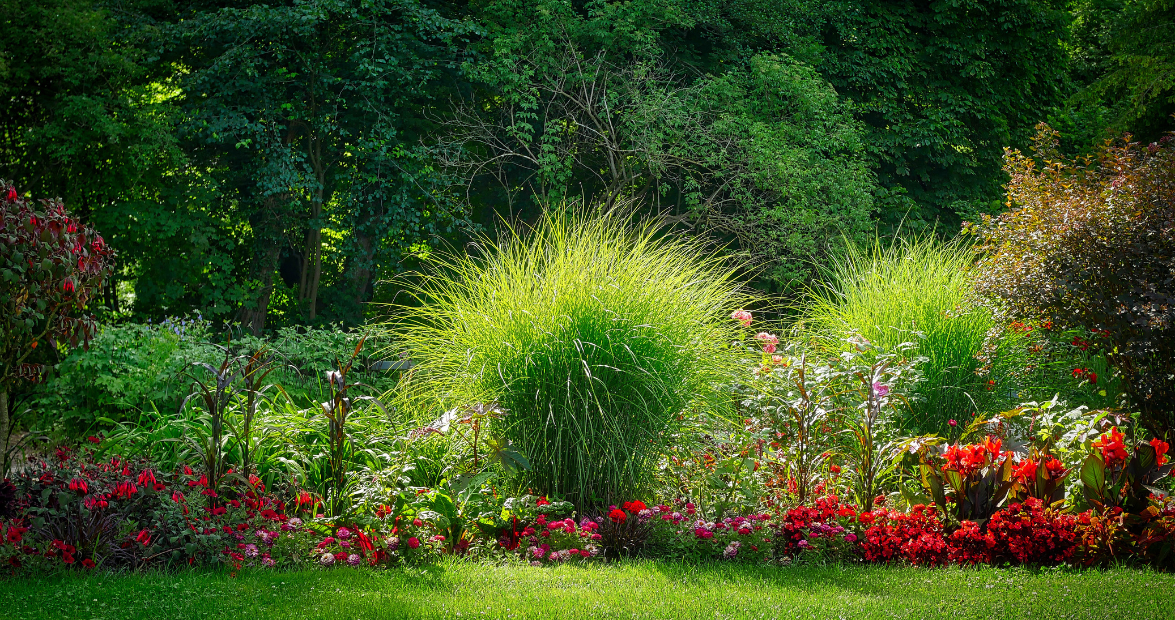 Garden Texture 101: Simple Ways to Add Depth and Contrast - Sherry Rupert